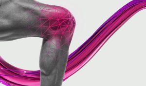 News – Regenative Labs